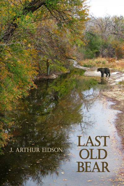 Last Old Bear – Book Cover – GRAFIX to go